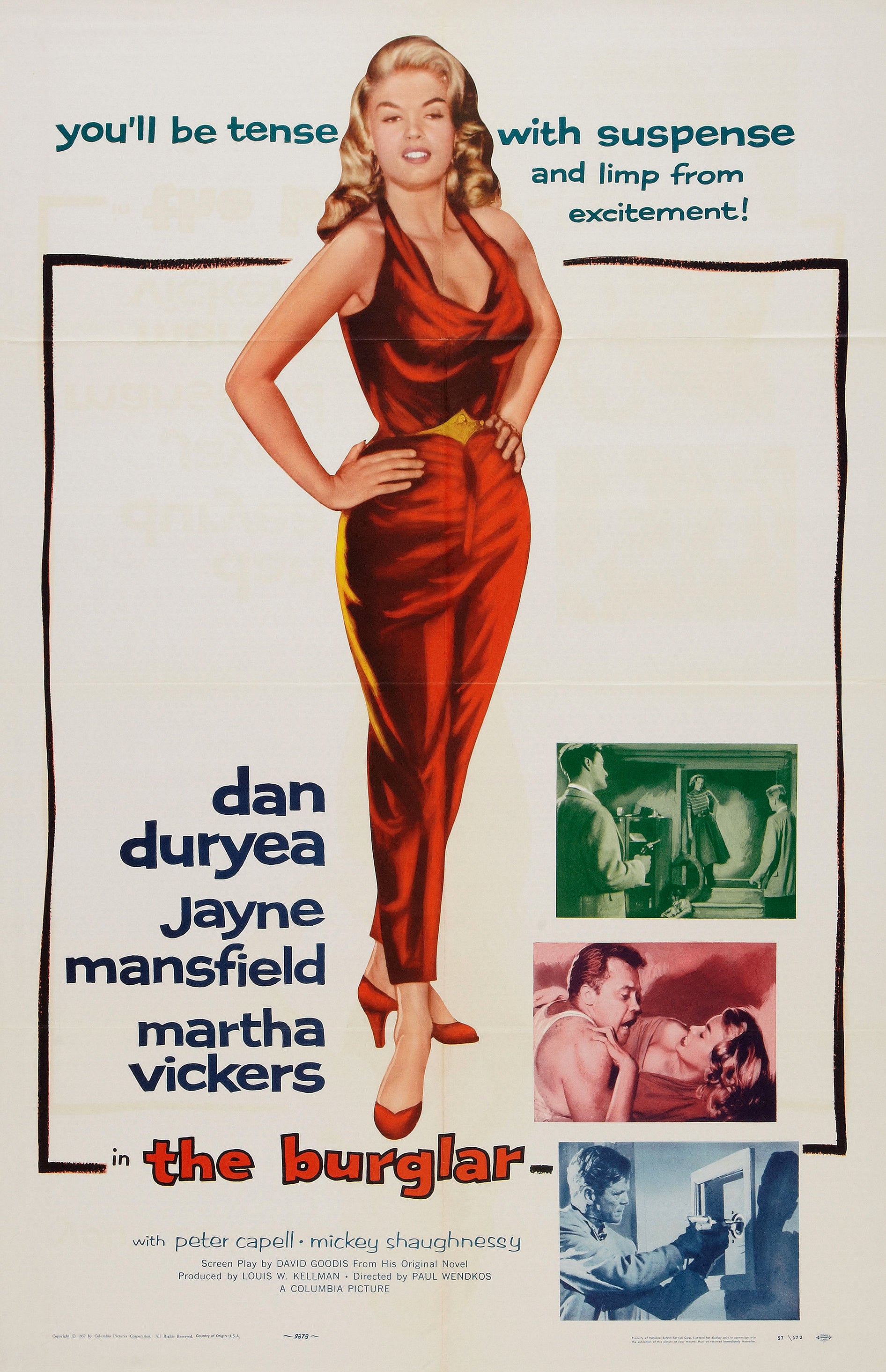 The Burglar 1957 DVD – The Old Movie Shop