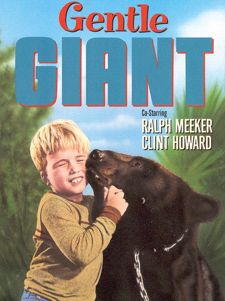 Gentle Giant 1967 DVD – The Old Movie Shop